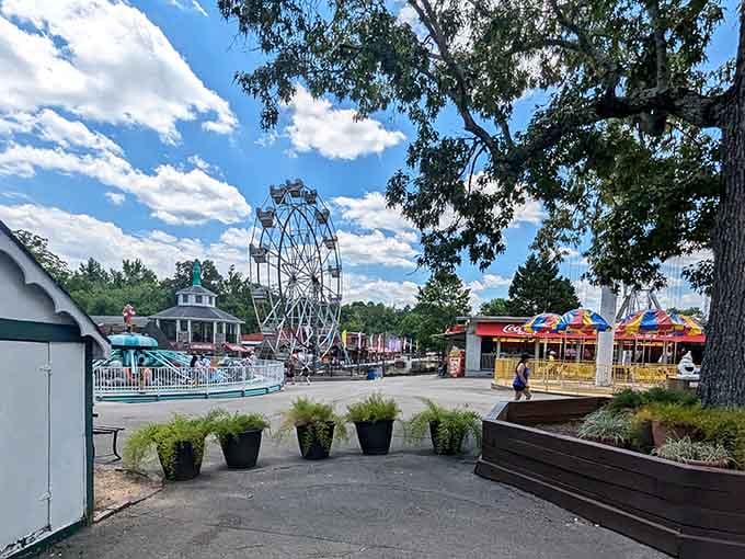 Potted ferns, open skies, and a Ferris wheel waiting patiently, this park knows exactly how to set the scene.
