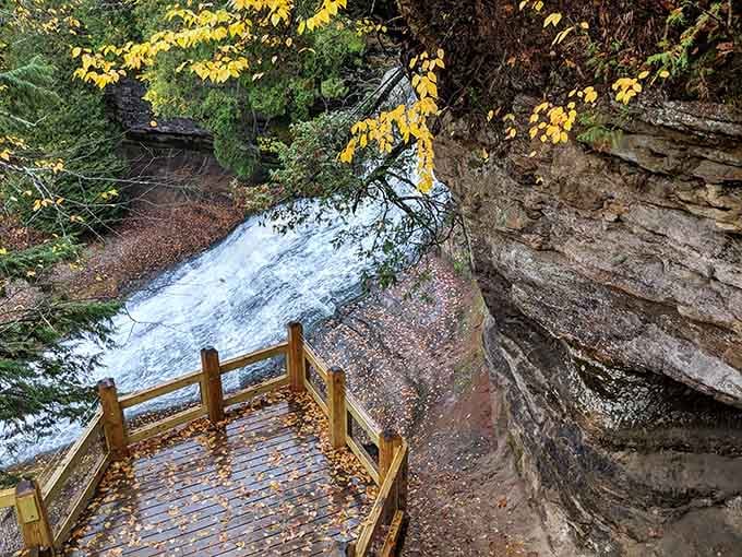 The wooden viewing deck puts you front row for one of Michigan's most spectacular autumn performances.