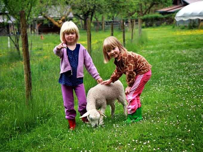 Two kids, one lamb, and a meadow full of wildflowers. Childhood doesn't get better than this.