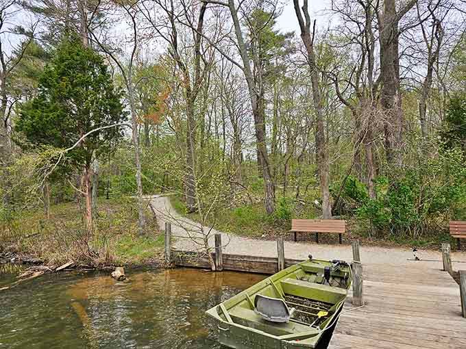 A quiet dock where time slows down and the only agenda is watching water ripple.