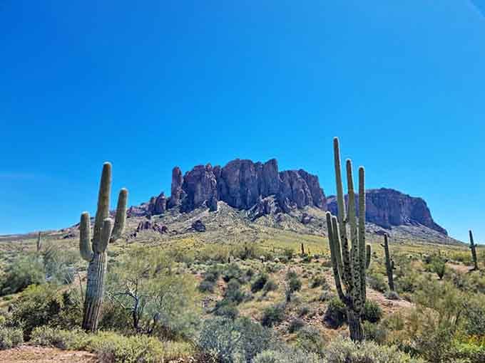 Three saguaros walk into a desert, and the punchline is this absolutely ridiculous mountain backdrop behind them.