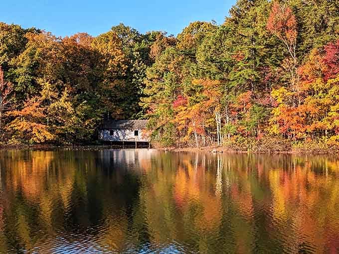 When Alabama decides to show off in autumn, it doesn't hold anything back. Not even a little.