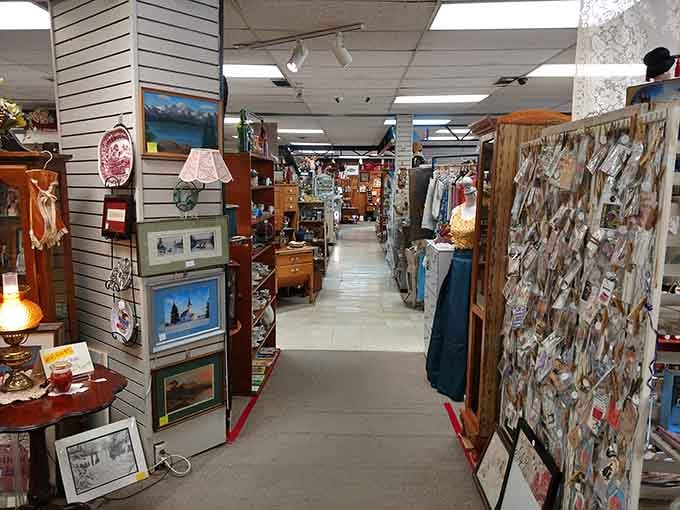 These aisles stretch on forever, and honestly, that's exactly the problem you want to have.