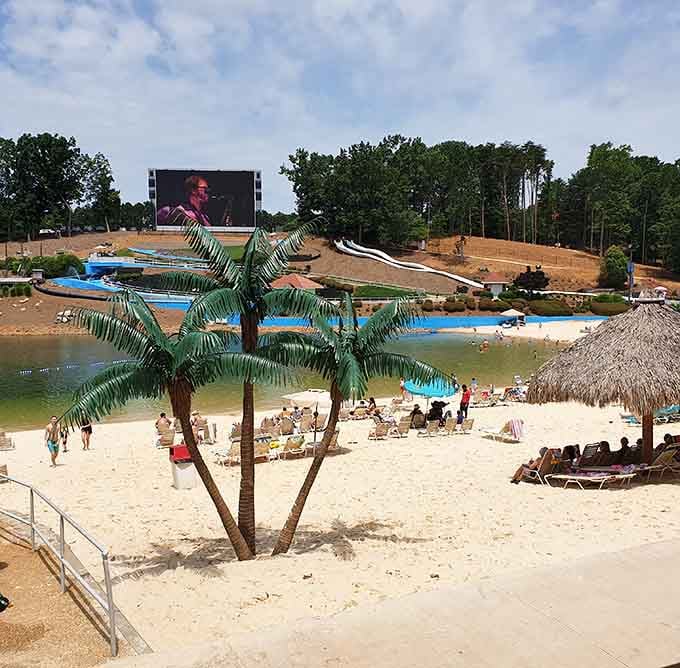 Palm trees, white sand, and a giant screen. Someone in Buford had very big dreams, and we're grateful.