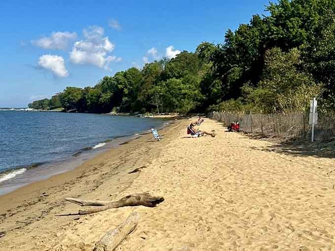 Golden sand, calm Bay waters, and autumn trees ablaze. Nature's version of a standing ovation.