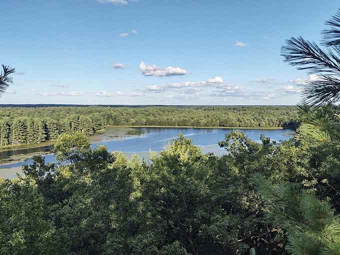 From up high, the forest and lake stretch endlessly, like Wisconsin forgot to put a boundary on its beauty.