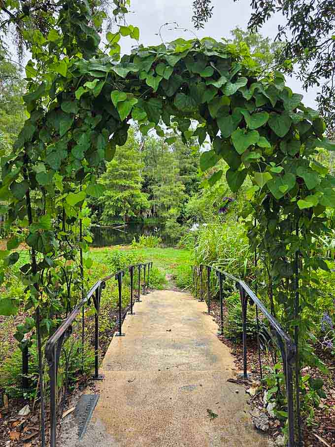 Nature built this archway, and honestly, it's showing off a little bit.
