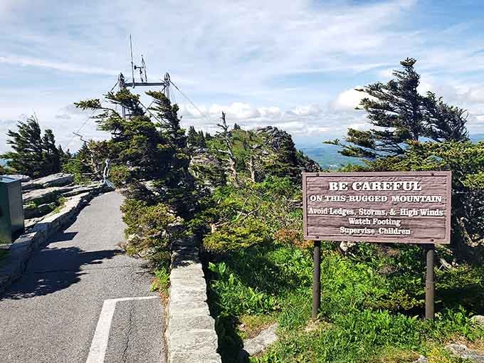 Steel cables and wooden planks holding you up at 5,305 feet: surprisingly reassuring once you stop thinking about it.