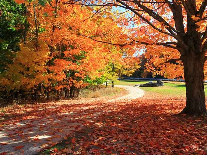Fall foliage transforms the park into a postcard, proving New England autumn is worth every pumpkin spice cliché.