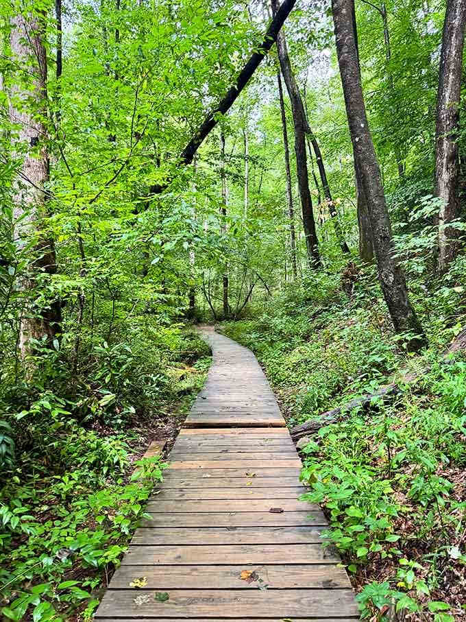 This wooden boardwalk through the forest makes you feel like you're walking into a fairy tale, minus the breadcrumbs.