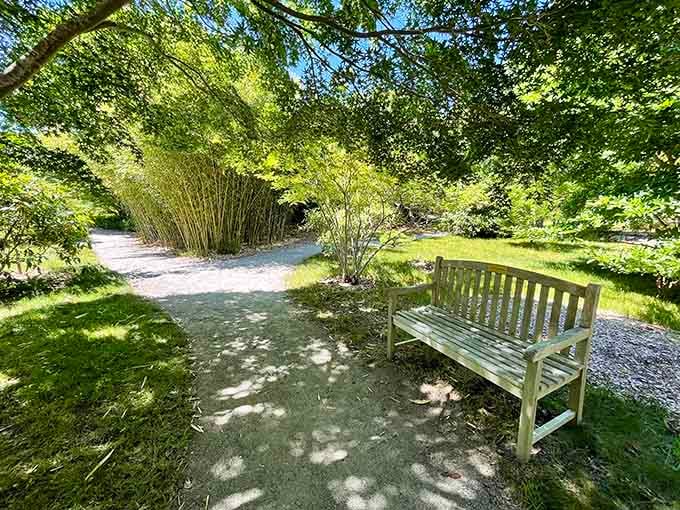 That bench isn't just a place to sit. It's an invitation to stop rushing and actually notice where you are.