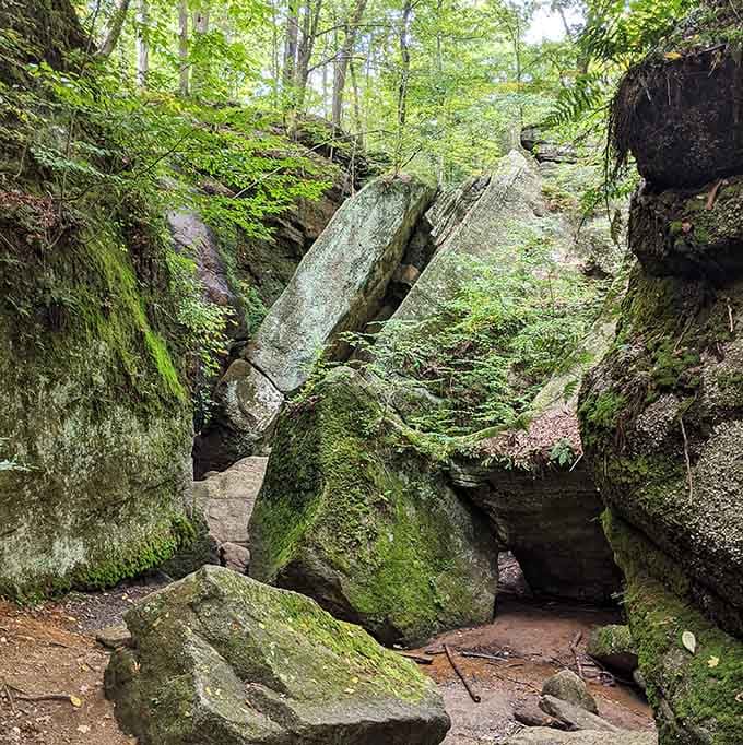 Moss-covered boulders stacked like a giant's forgotten puzzle pieces, each one older than your wildest imagination.