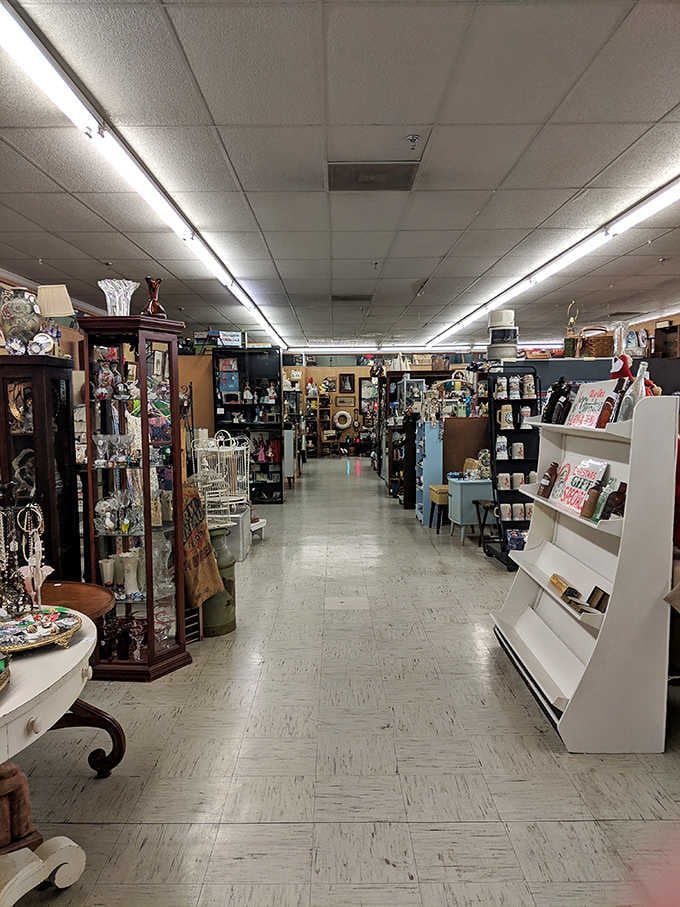Aisle after aisle of carefully arranged treasures, proof that someone out there saved everything your grandmother threw away.