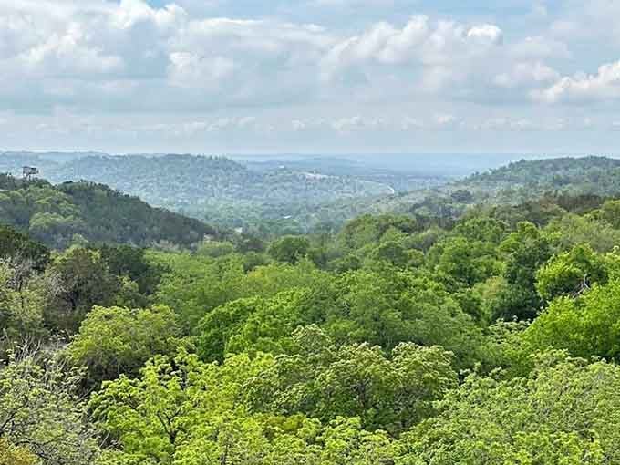Rolling Hill Country views stretch endlessly from the park, proof that Texas saves its best surprises for those who look.