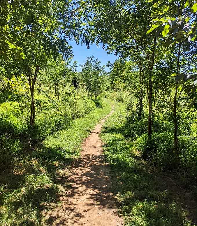 A path less traveled means more peace, more quiet, and zero people asking you to take their photo.