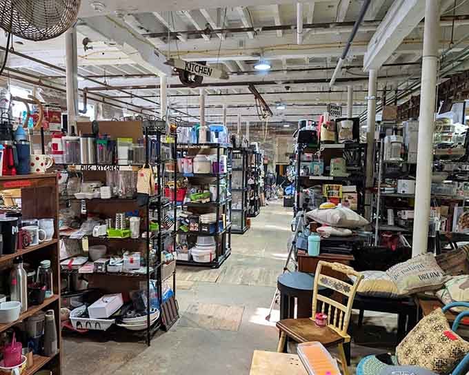 Floor-to-ceiling shelves packed with kitchen treasures, proof that someone else's clutter is absolutely your next great find.