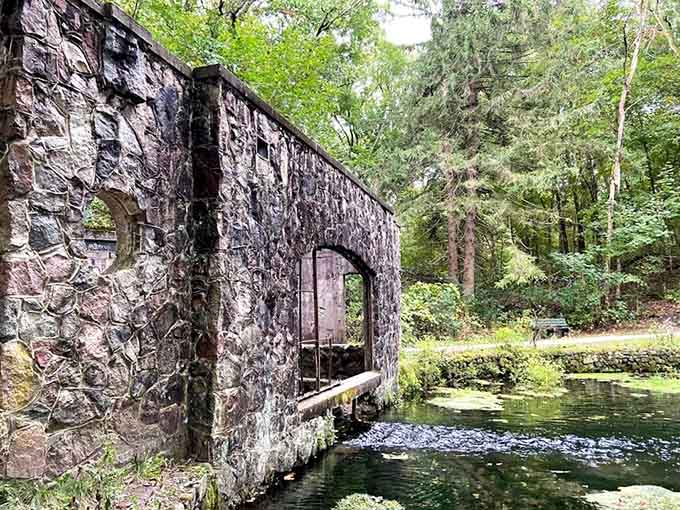 This weathered stone building once housed a fish hatchery. Now it houses pure, unscripted wonder.