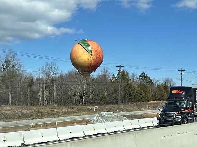 That moment when you're cruising down I-85 and realize you've entered the land of giant fruit architecture.