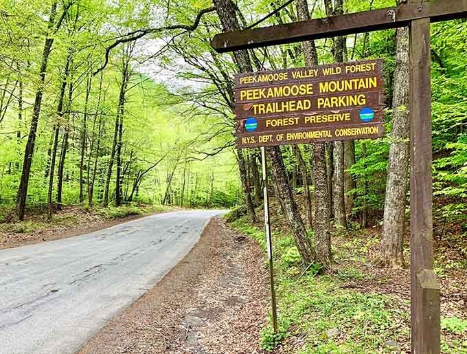 The sign says forest preserve. Your soul says, "I live here now."