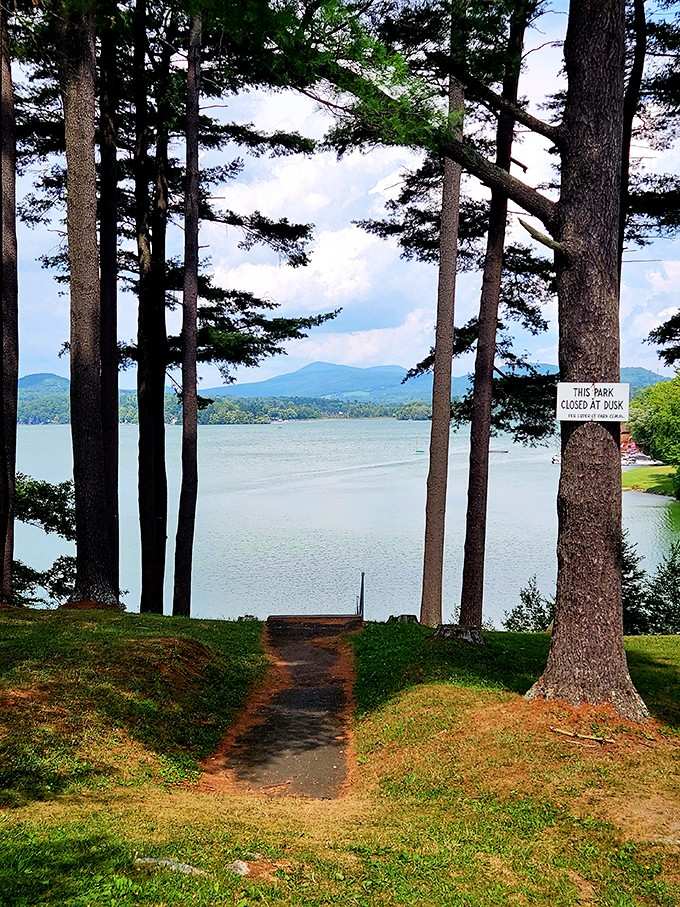 Tall pines frame the path to the water like nature's own welcome committee, quietly saying, "You made it. Relax."