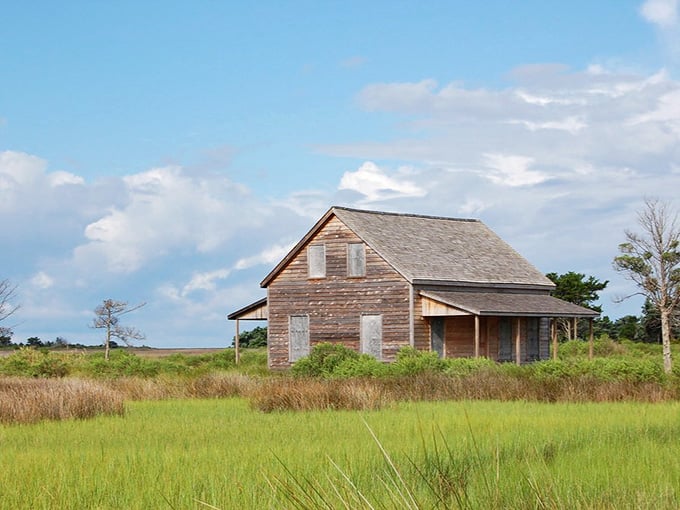 Boarded windows, weathered cedar, and marsh grass stretching forever. This house earned every one of its wrinkles.