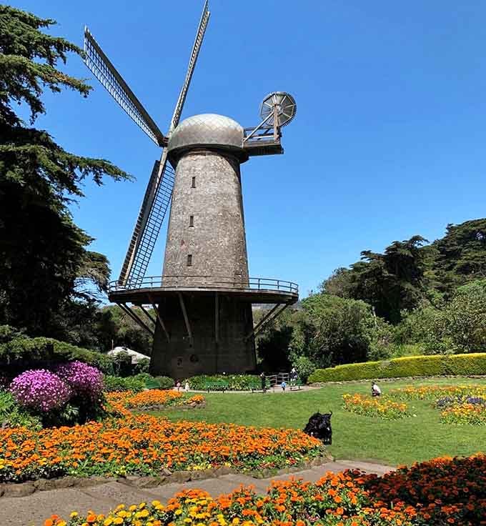 That's not a postcard from Amsterdam. That's Golden Gate Park, and it's been there this whole time waiting for you.