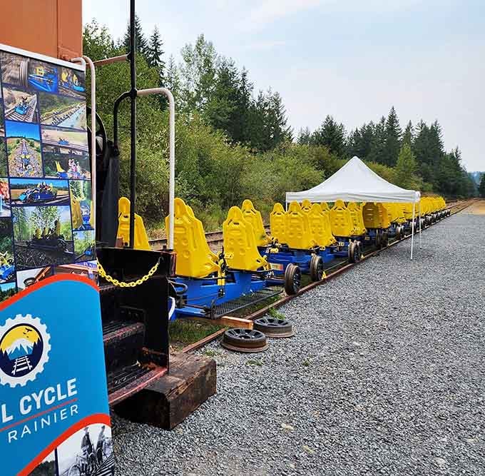 A fleet of bright blue and yellow rail bikes lined up and ready, like the world's most cheerful train station.
