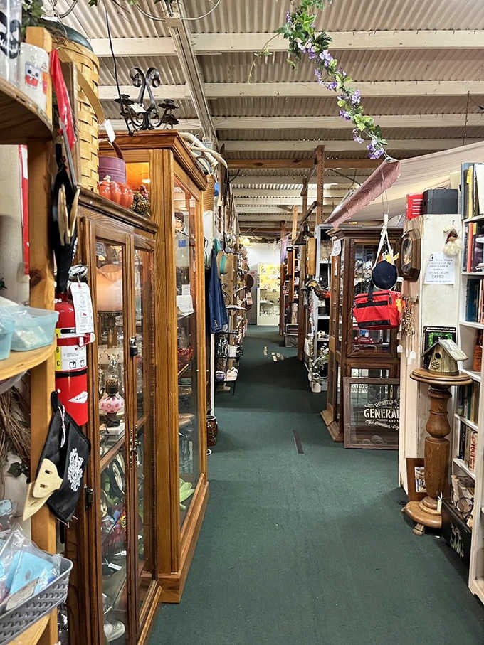 Every aisle stretches out like a treasure map, with glass cabinets and hanging garlands pulling you deeper inside.