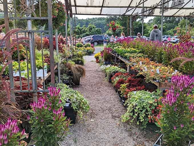 A gardener's paradise awaits, with blooms so vivid they'd make even a concrete patio jealous.
