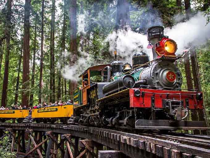 The Dixiana locomotive means business, hauling passengers through redwoods that were old when your great-great-grandparents were young.