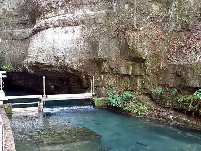 Ancient limestone, cool shadows, and water so clear you'd swear the fish are showing off on purpose.