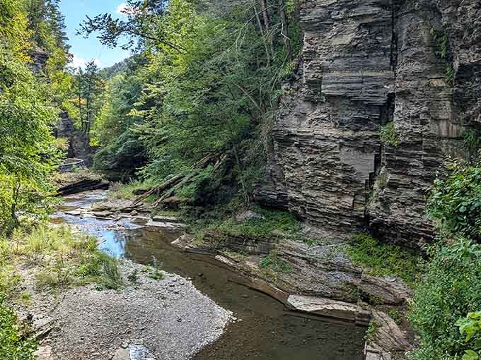 Enfield Creek winds quietly through layered canyon walls, proof that patience carves the most beautiful paths.