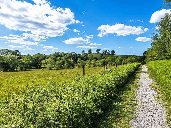 This gravel path through sun-drenched meadows is basically Ohio whispering, "trust me, keep walking, it gets better."