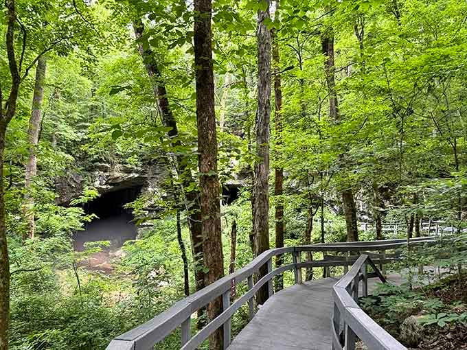 The boardwalk through the summer green feels like walking toward something genuinely important. Because you are.