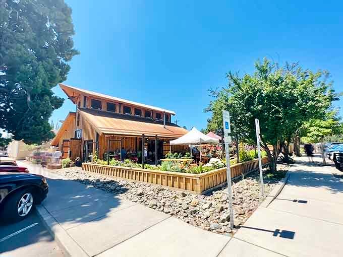 This warm timber building with blooming garden beds proves that good design and genuine hospitality can absolutely share the same address.