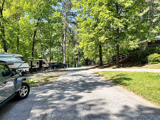 RV sites nestled among towering pines, where your home on wheels becomes a woodland mansion for the weekend.