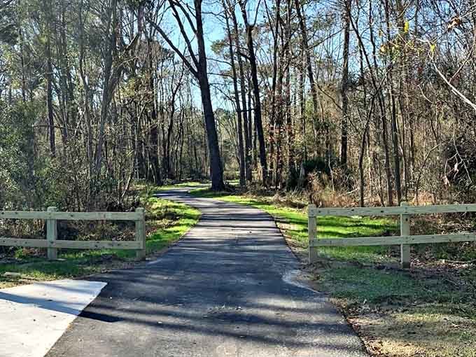 This paved trail through the woods at Stono River County Park is quiet, shaded, and completely free.