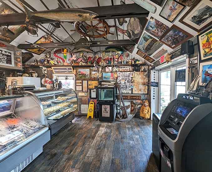 Every inch of this ceiling tells a story, and that mounted swordfish overhead is clearly the chapter you won't forget.