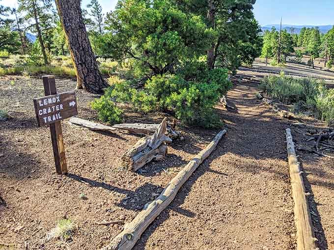 The Lenox Crater Trail sign points the way, and honestly, that wooden arrow knows what it's doing.