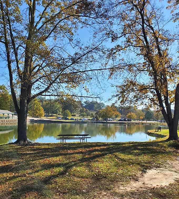 Autumn at Suson Park hits different, when the trees turn gold and the lake becomes a mirror you didn't know you needed.