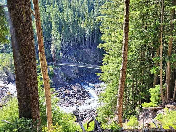 From above, the bridge looks like nature's own tightrope, stretched across a canyon that means business.