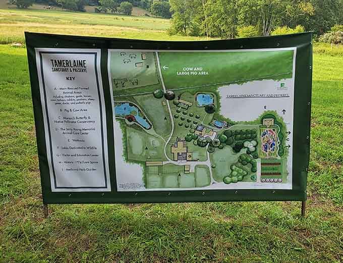 A sanctuary map this detailed means you're not just visiting, you're embarking on a genuine animal adventure.