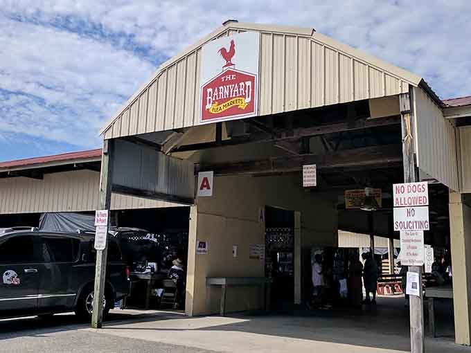 That red rooster logo means business, and the wide-open entrance at The Barnyard Flea Markets is practically pulling you inside by the collar.