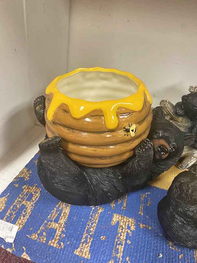 Even the bears around here know where to find the good stuff, clutching honey pots like they've struck gold.