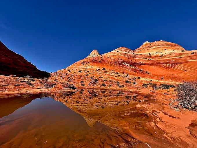 After rain, The Wave becomes a mirror, doubling the beauty you already can't believe is real.