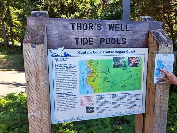 Your roadmap to one of nature's most dramatic performances, conveniently located right off Highway 101.