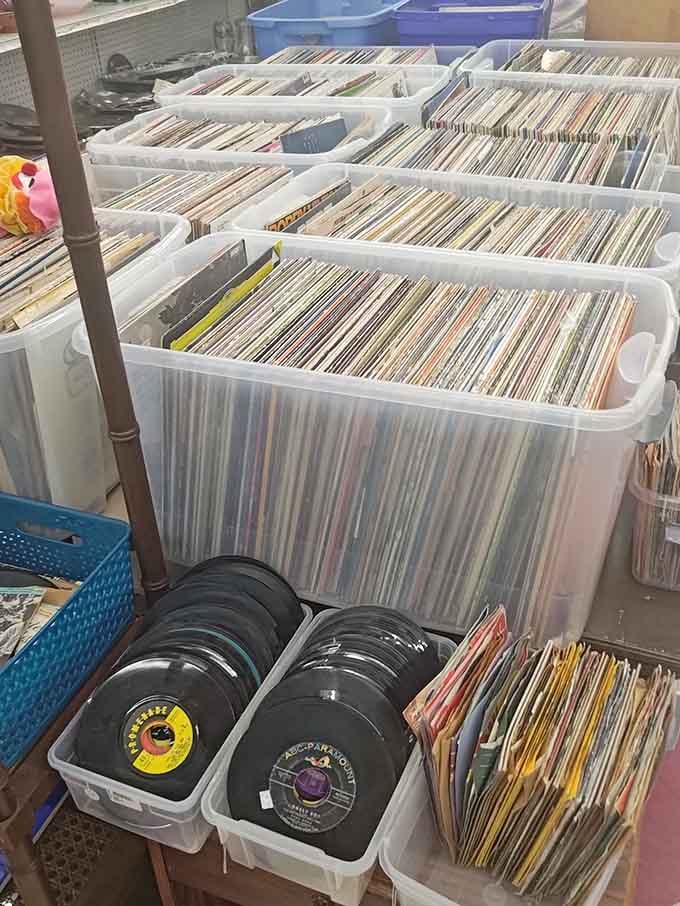 Bins packed with vinyl records, from full LPs to vintage 45s, a music lover's absolute dream come true.