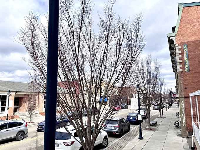 Tree-lined sidewalks and antique shop signs stretching into the distance, proof that the best streets invite you to keep walking.
