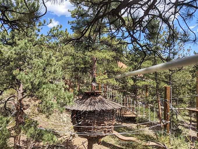 This is what happens when someone takes the phrase "go climb a tree" as genuine life advice.