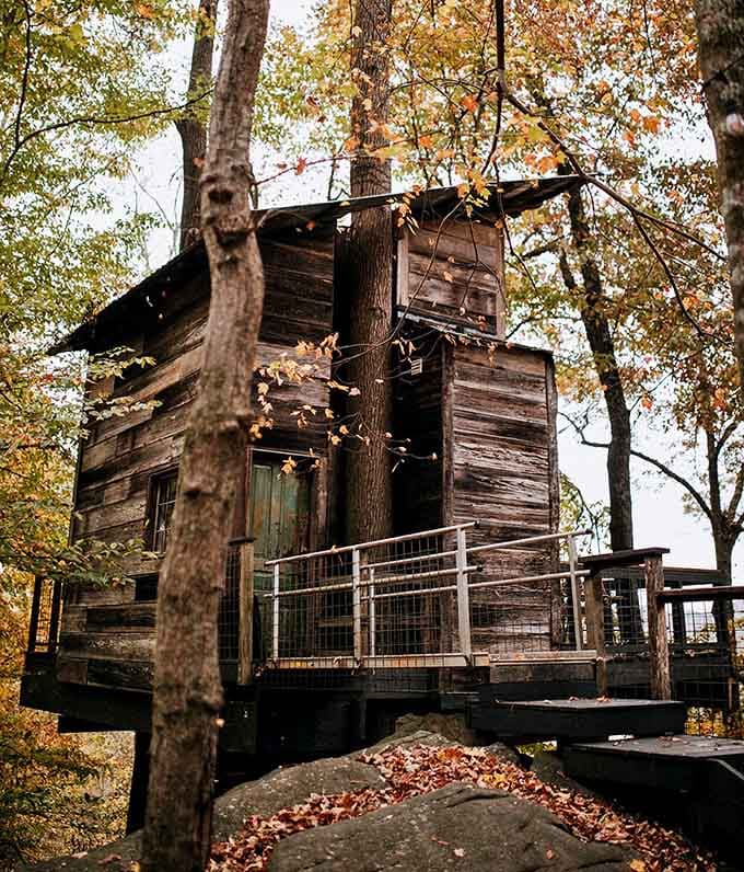 Autumn wraps this rustic hideaway in amber and rust, making the weathered wood glow like something from a fairy tale.